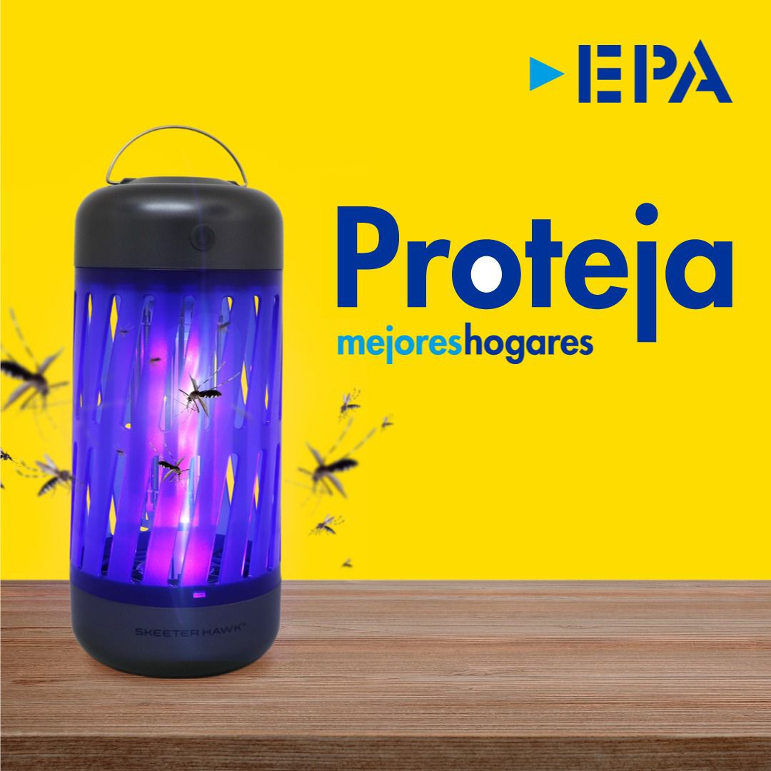Protegiéndonos del dengue: medidas y productos efectivos contra las ...